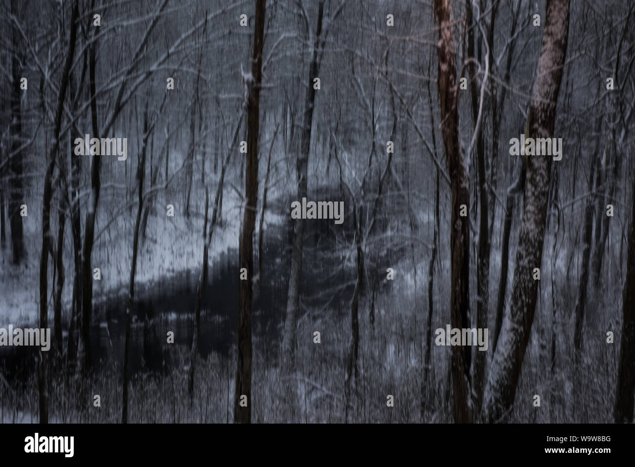 Virginia woods hi-res stock photography and images - Alamy