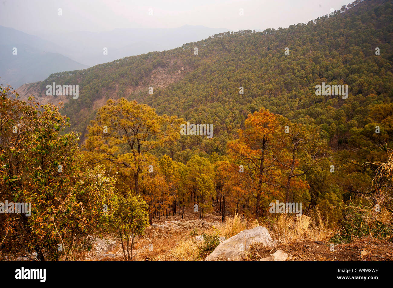Valley where Jim Corbett shot the Chowgarh maneating tigress, Kala Agar ...