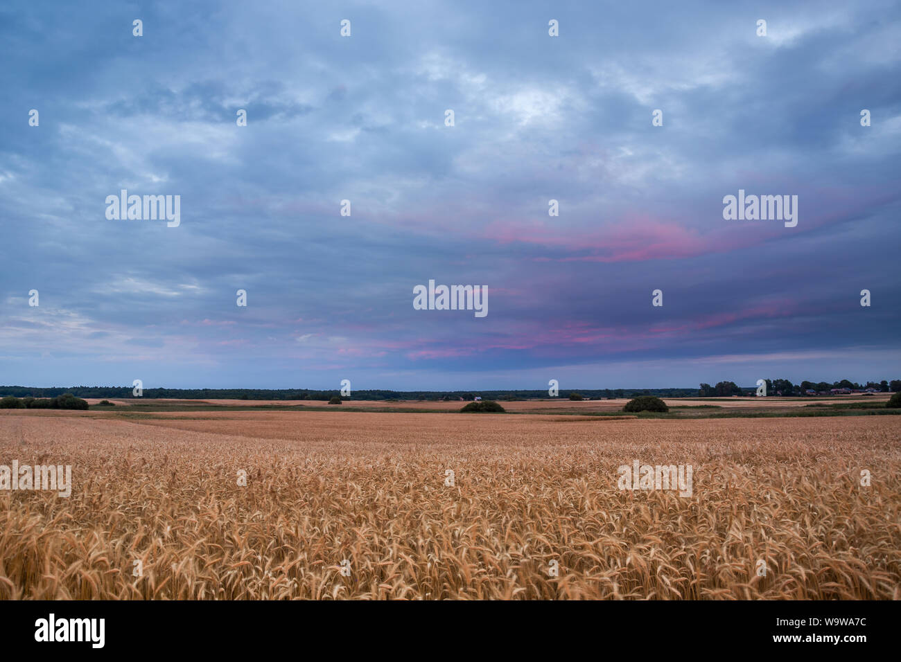Colorful rainy hi-res stock photography and images - Alamy