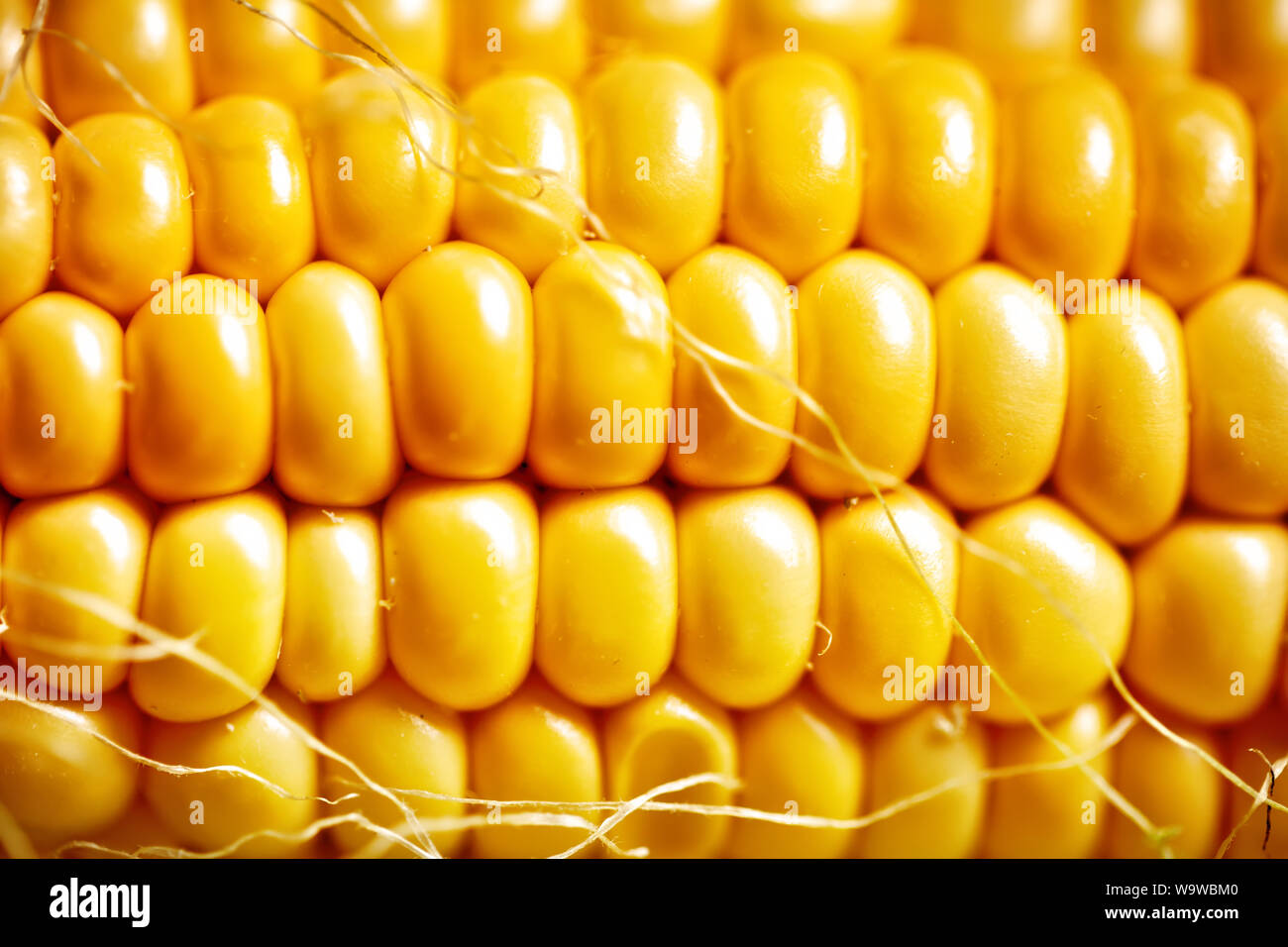 Yellow corns hi-res stock photography and images - Alamy