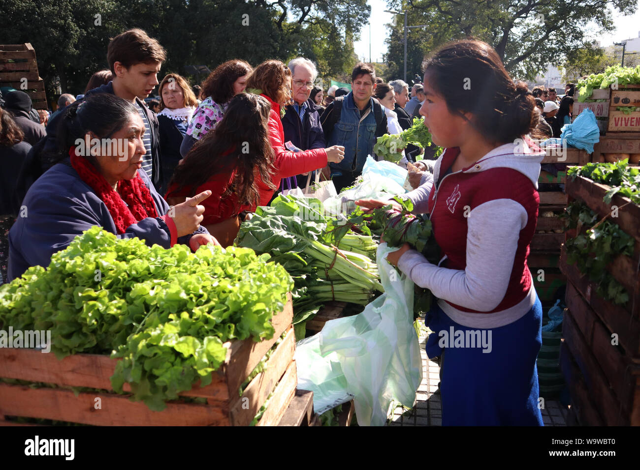 BUENOS AIRES, 15.08.2019: Vegetable producer organizations offer their ...