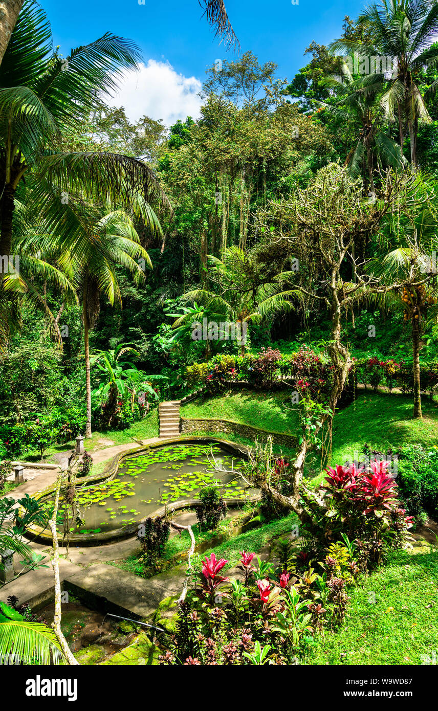 Garden at Goa Gajah temple in Bali, Indonesia Stock Photo - Alamy