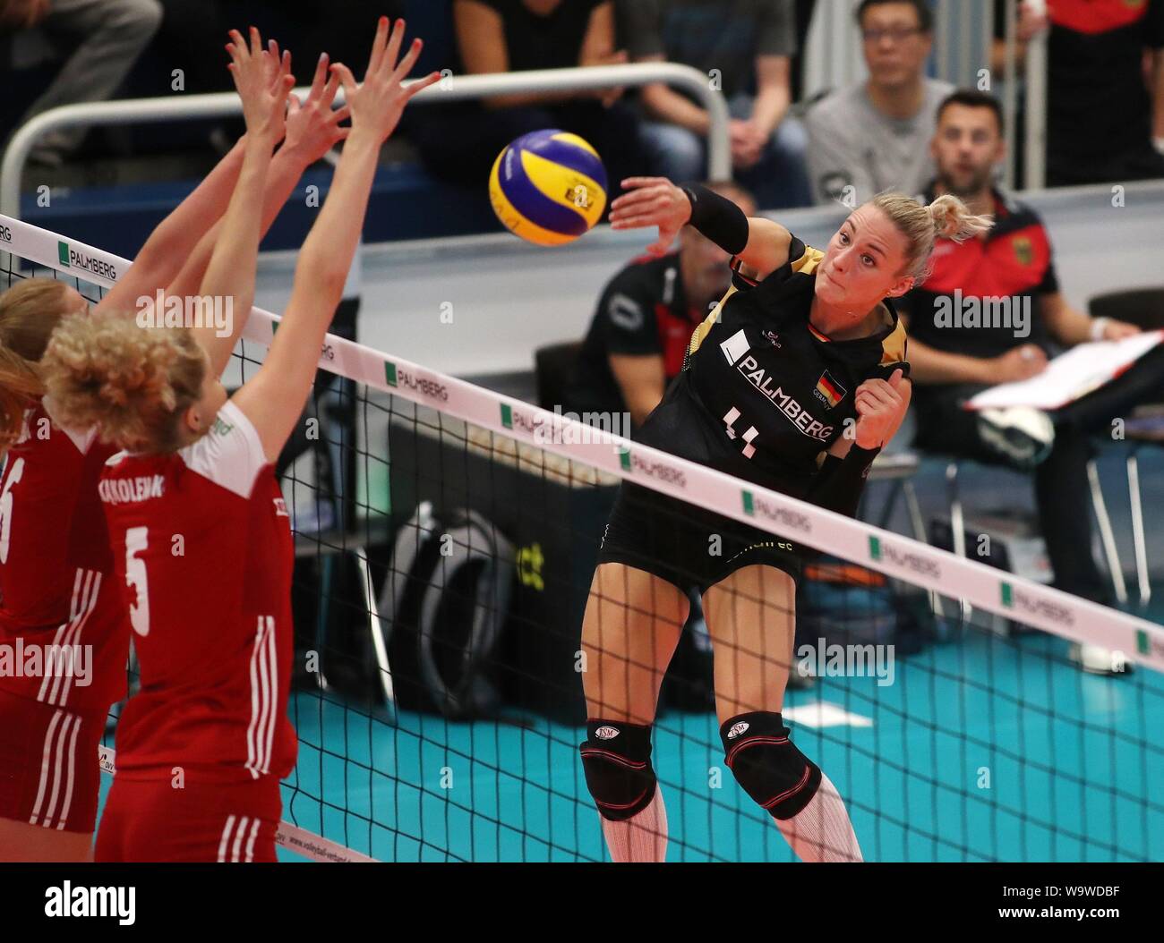 Women landerspiel national team hi-res stock photography and images - Alamy