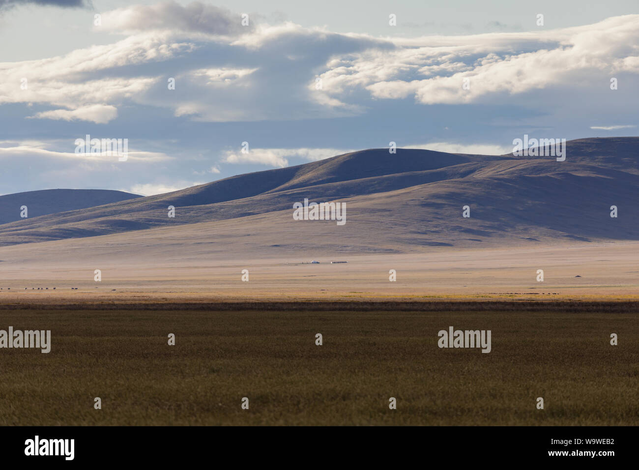 The vast wilderness of Mongolia in central Asia Stock Photo - Alamy