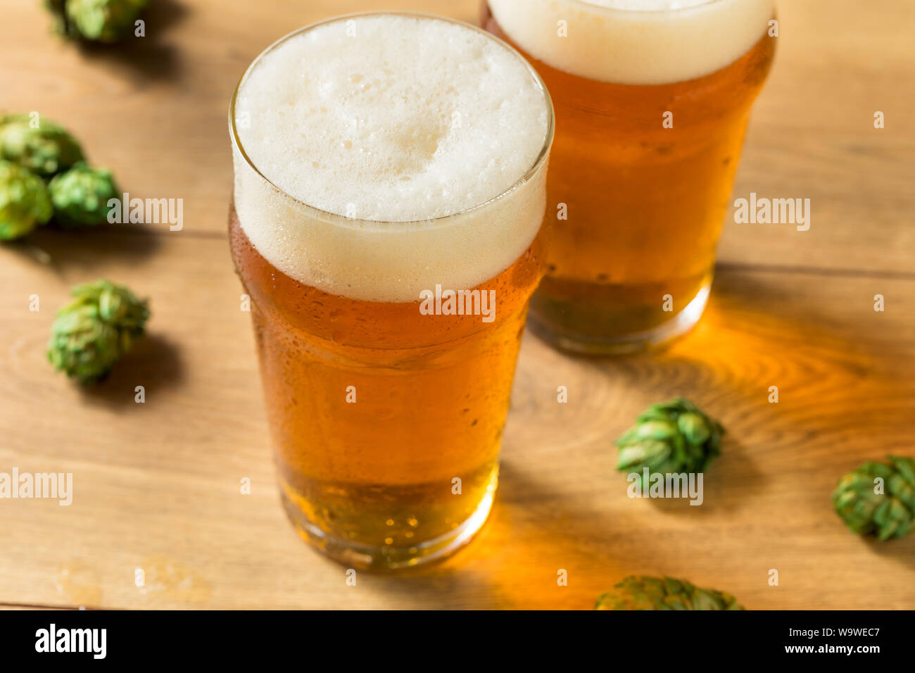 Refreshing Summer IPA Craft Beer with Hops Stock Photo - Alamy
