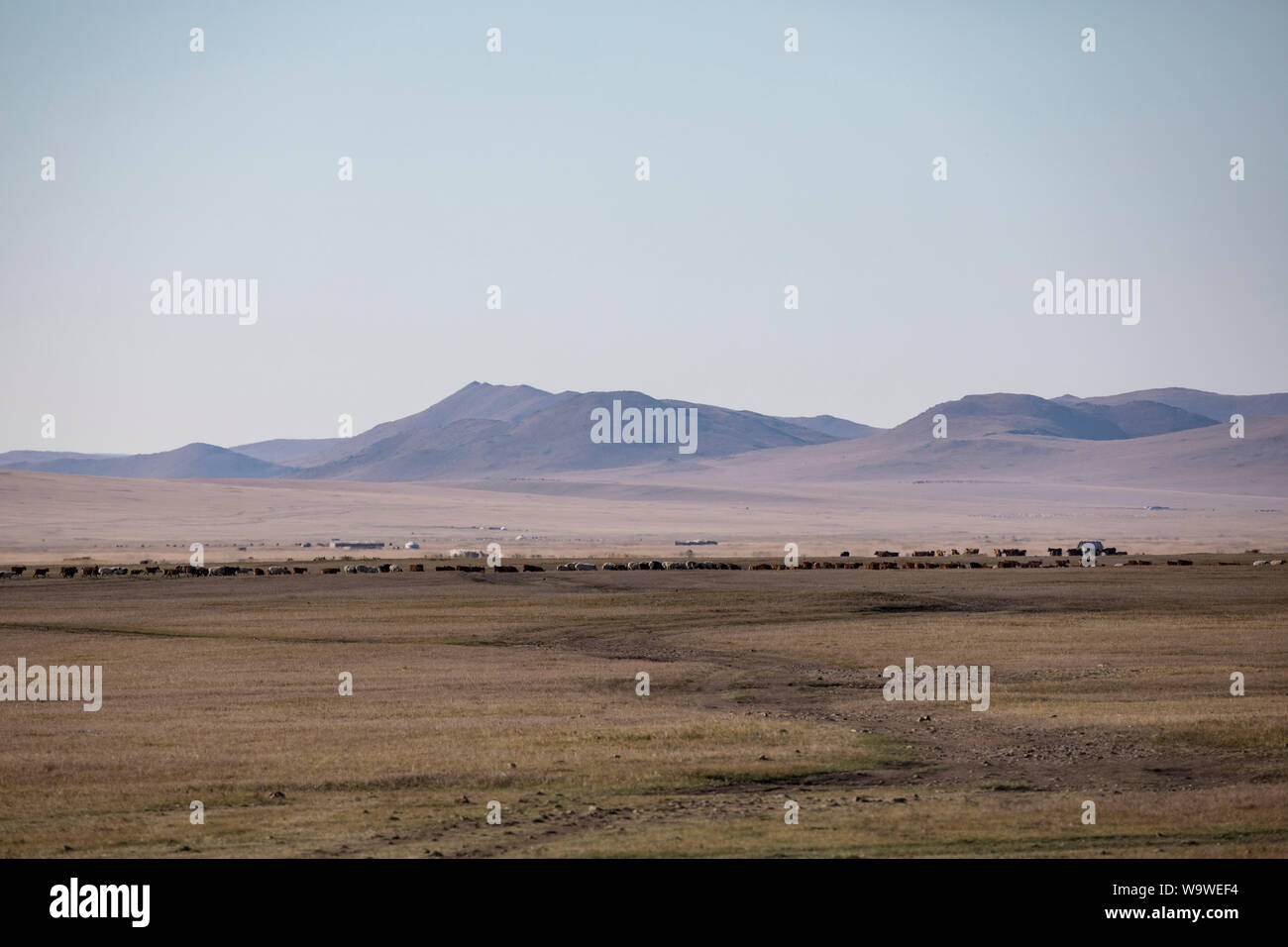 The vast wilderness of Mongolia in central Asia Stock Photo - Alamy