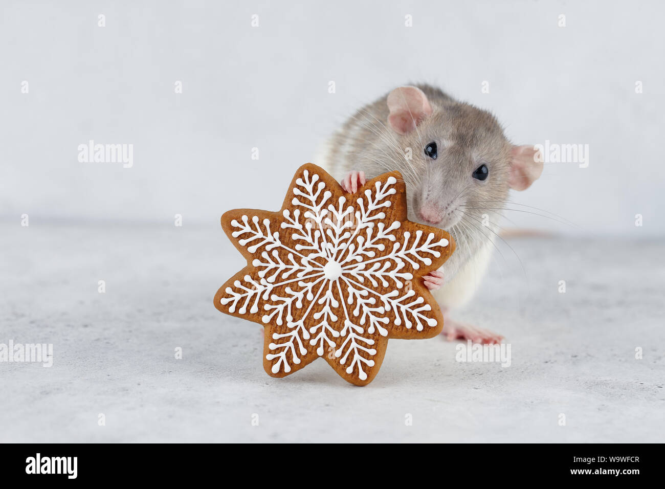 Gingerbread mouse hi-res stock photography and images - Alamy