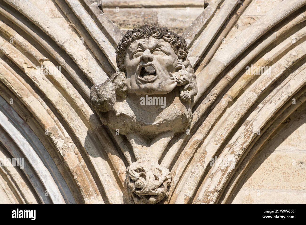 Gargoyles, Salisbury Cathedral (13th century), Wiltshire, England Stock ...