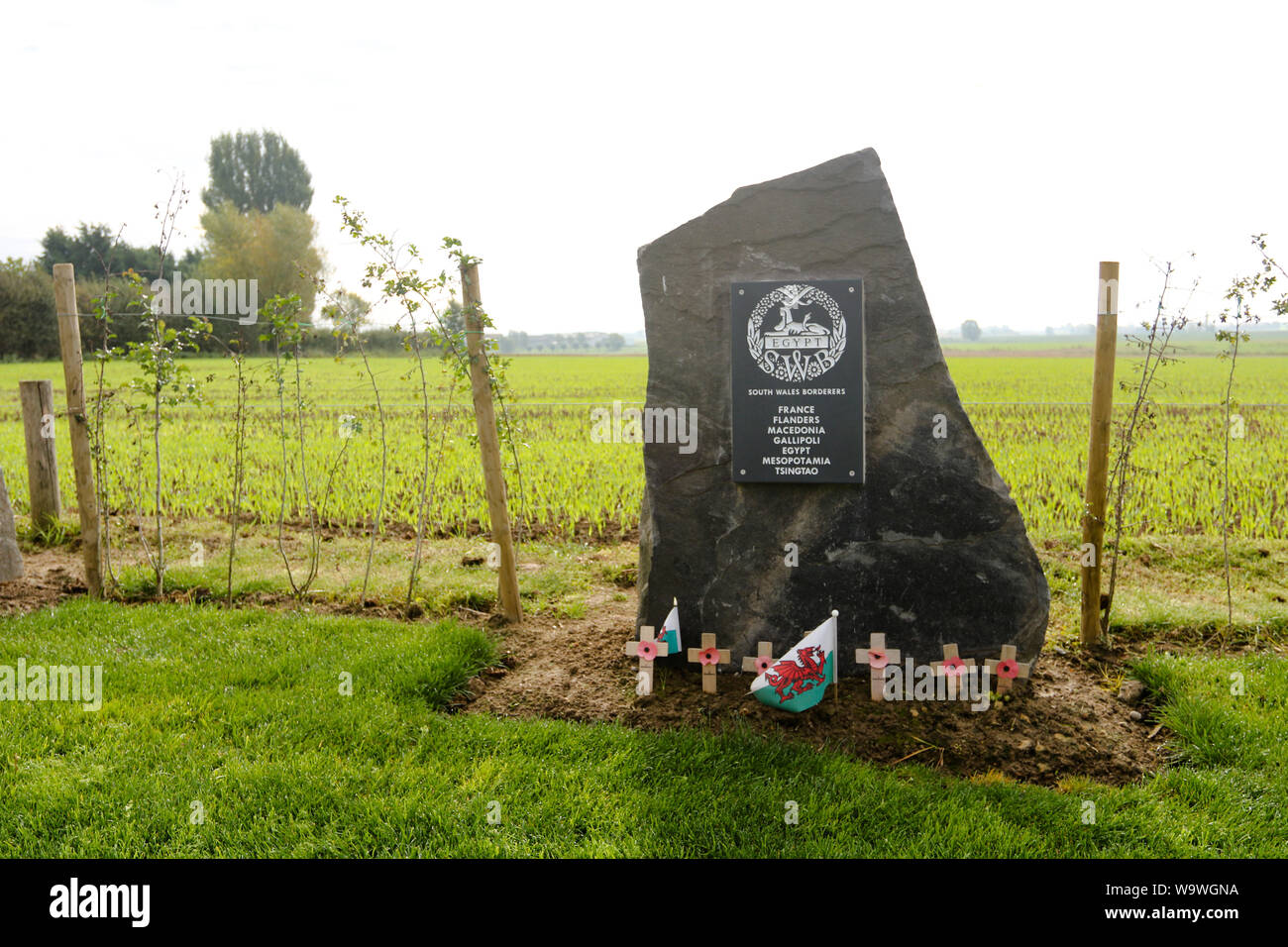 Welsh national official flag patriotic hi-res stock photography and ...