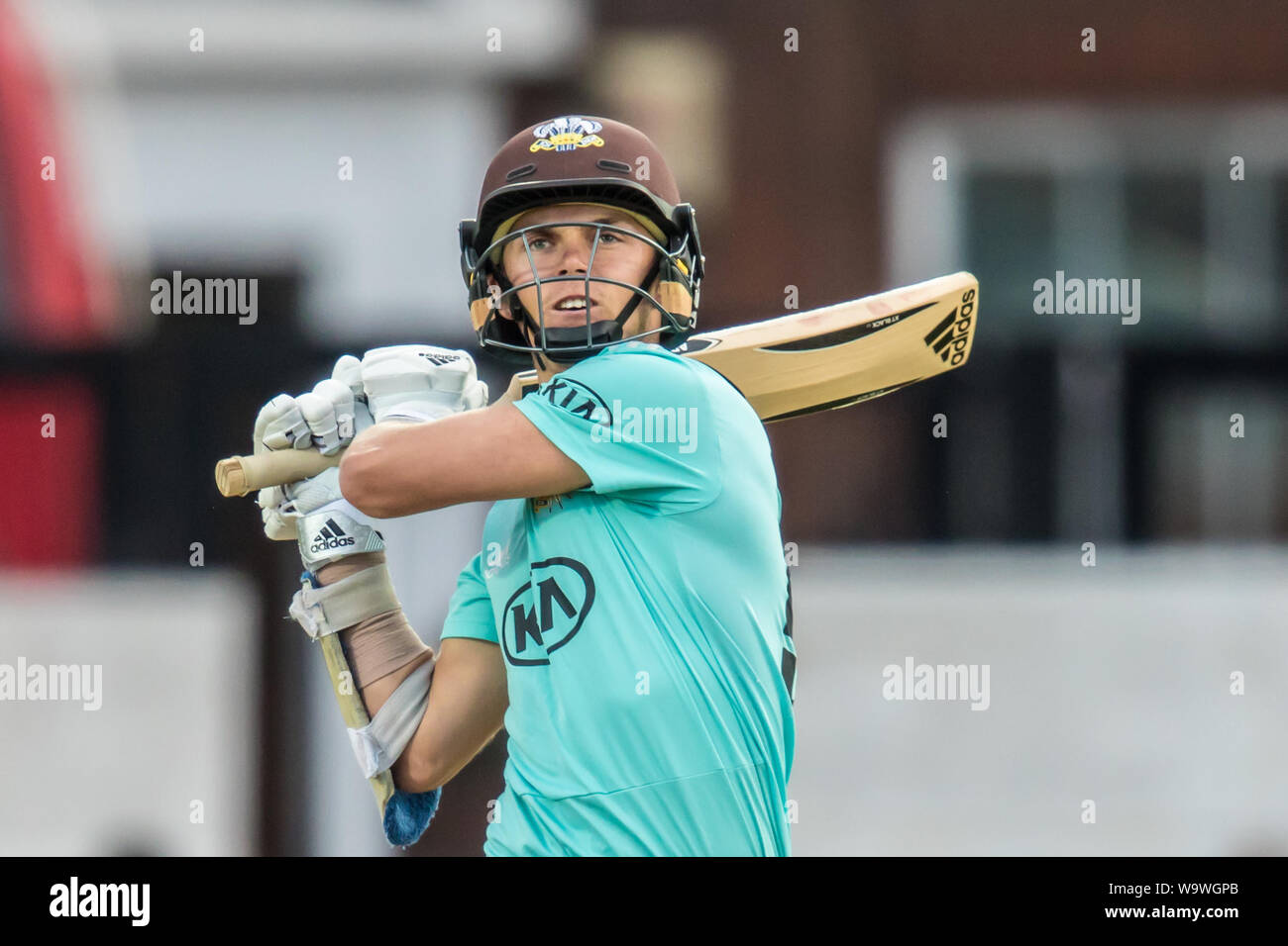 Six sharks hi-res stock photography and images - Alamy