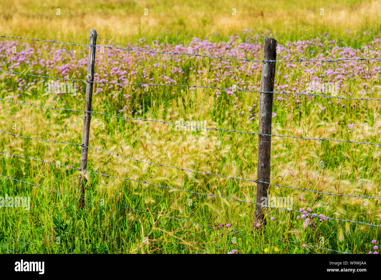 Wavy fence hi-res stock photography and images - Alamy