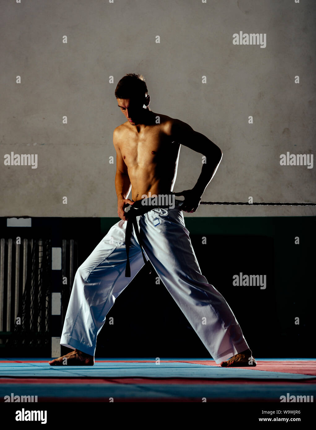 An athlete with a black belt and in karategi performs a formal karate ...