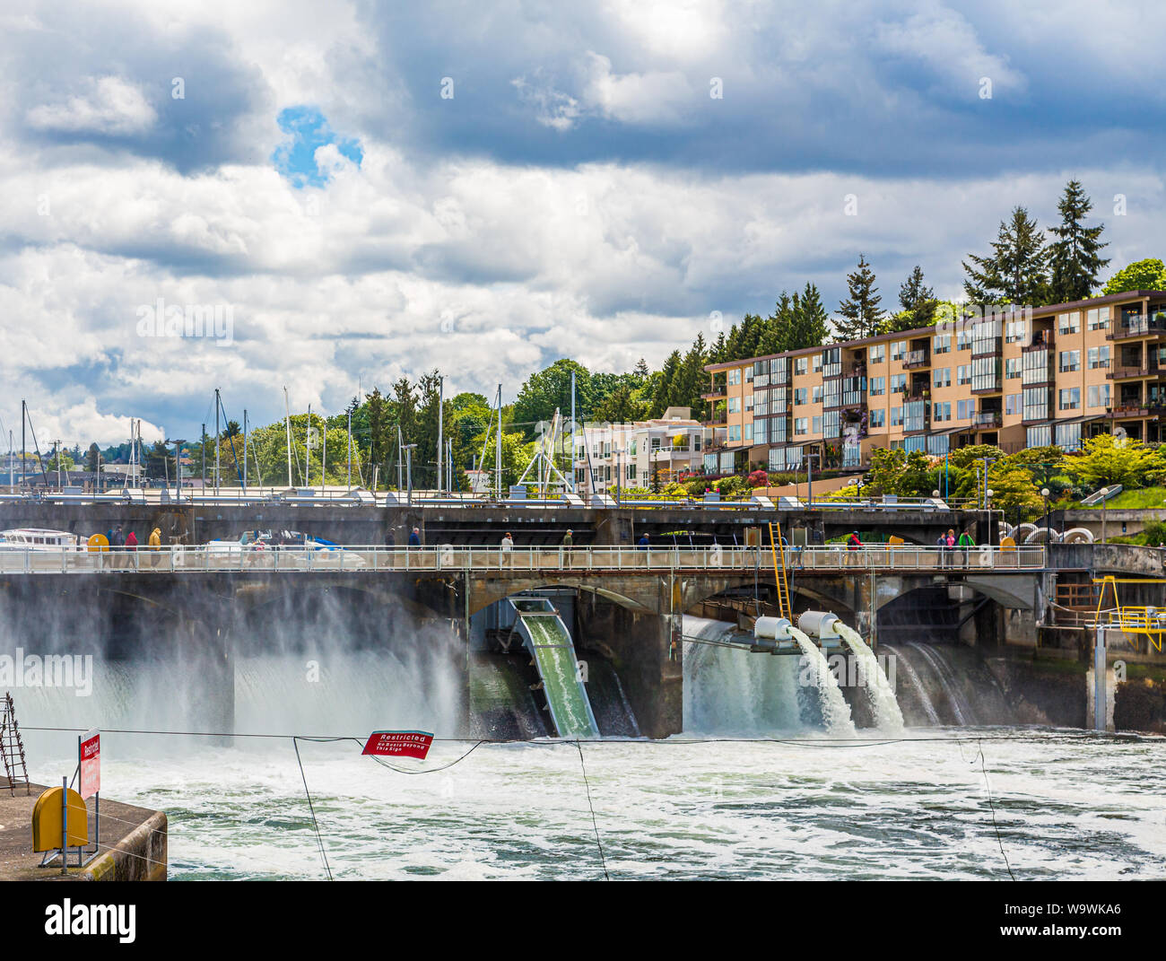 A view of Ballard Locks in Seattle, Washington Stock Photo - Alamy