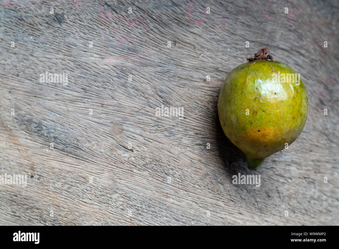 Macauba palm fruit hi-res stock photography and images - Alamy