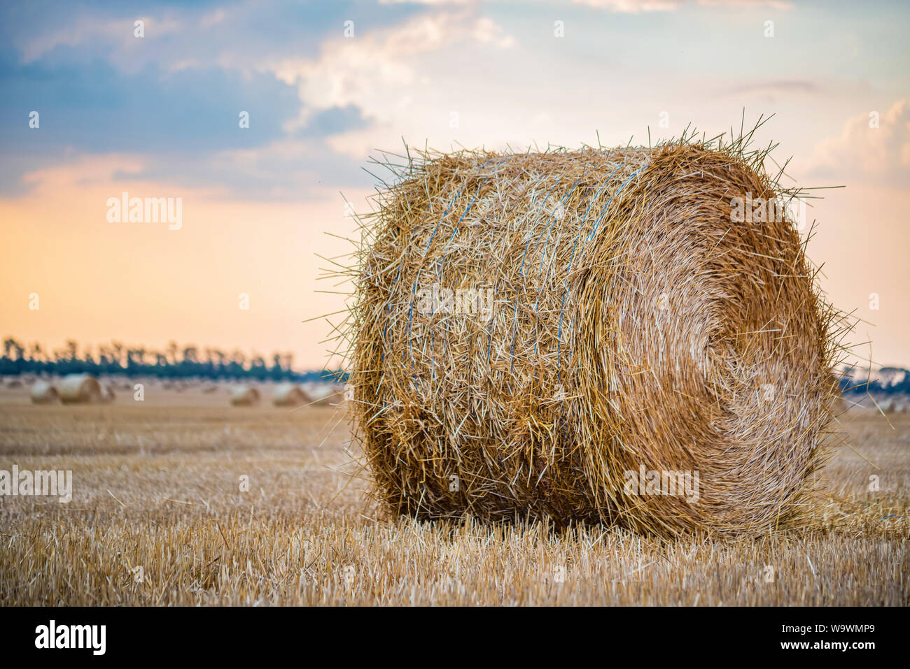 Big round haystacks on field in countryside Stock Photo - Alamy