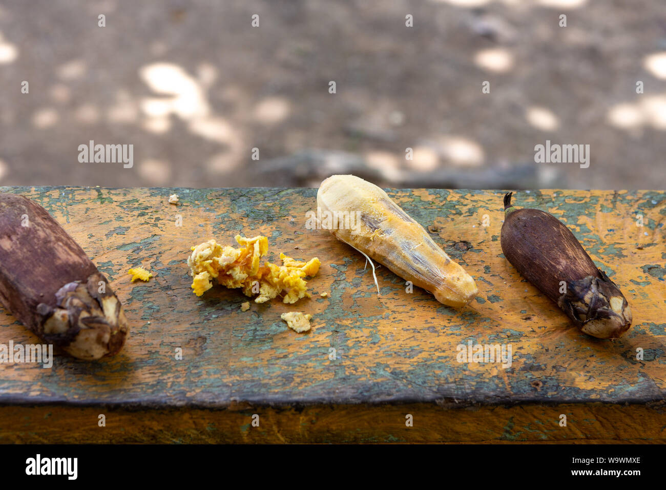 Close up of Urucuri Palm fruits, with and without bark, on rustic ...