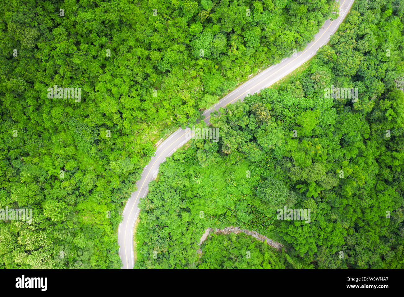 Aerial view of countryside road passing through the tropical rainforest ...
