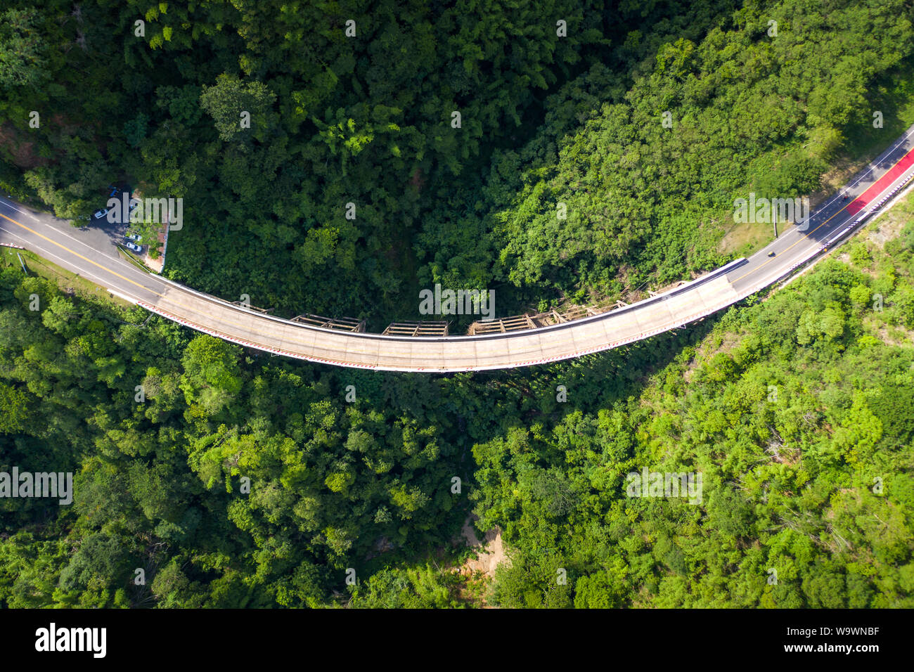 Aerial view of countryside road passing through the tropical rainforest ...