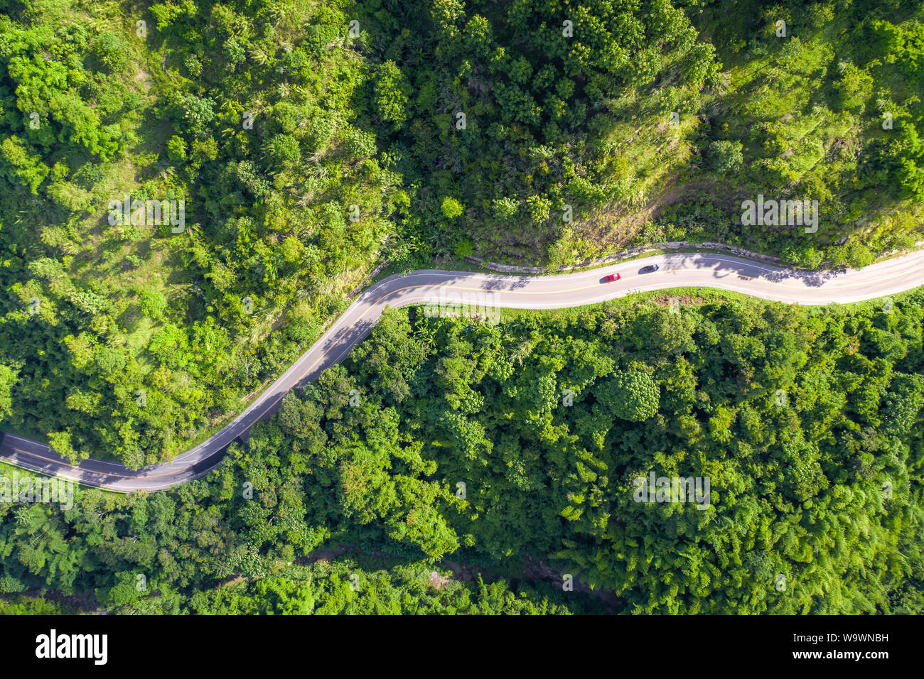 Aerial view of countryside road passing through the tropical rainforest ...