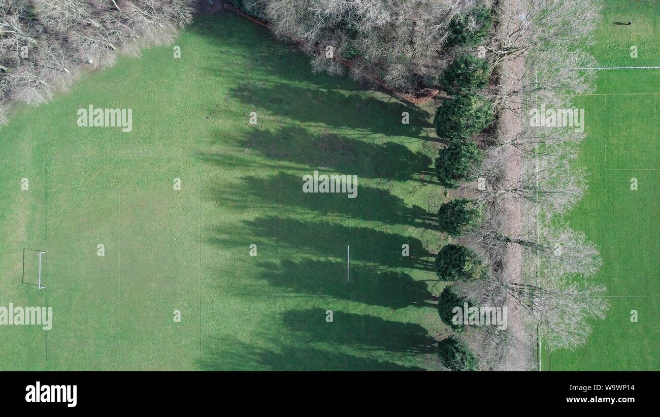 Overhead shot of green trees in a beautiful field Stock Photo - Alamy