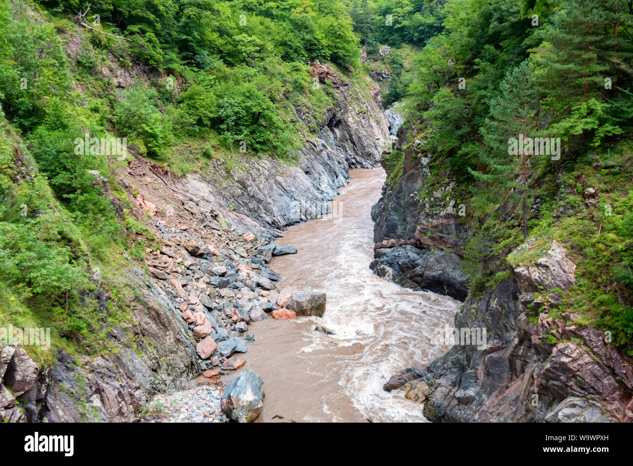 Distant view of mountain river, rocks and green forest in summer Stock ...
