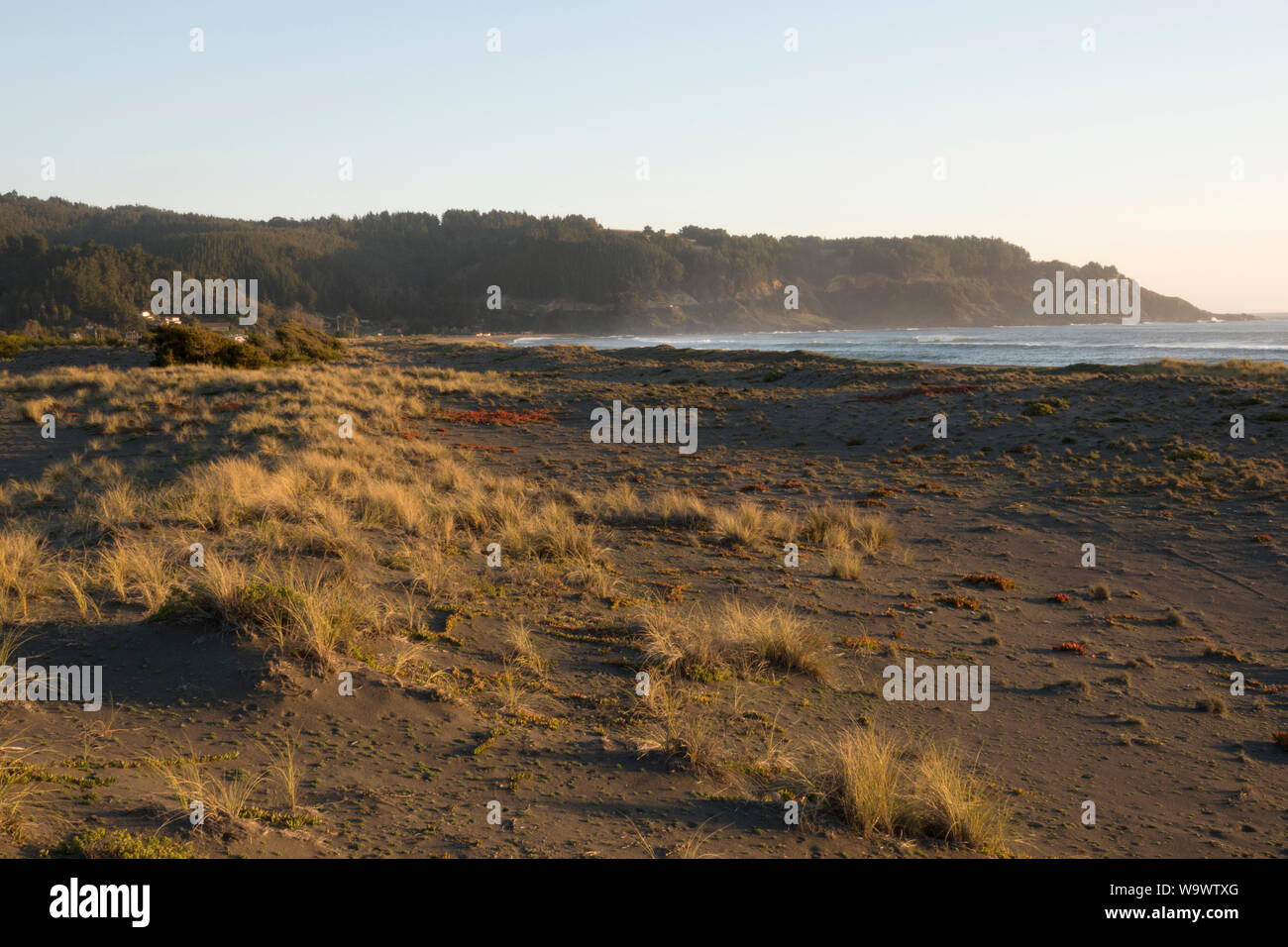 Sand dunes on Buchupureo beach in Nuble, Chile Stock Photo - Alamy
