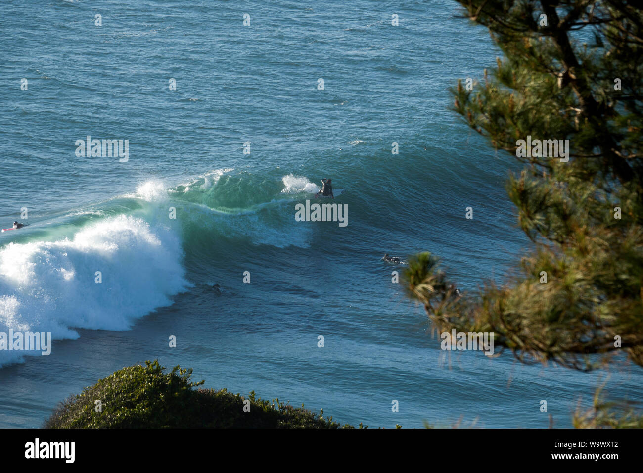 Wintertime surfing large waves in Buchupureo, Chile Stock Photo - Alamy