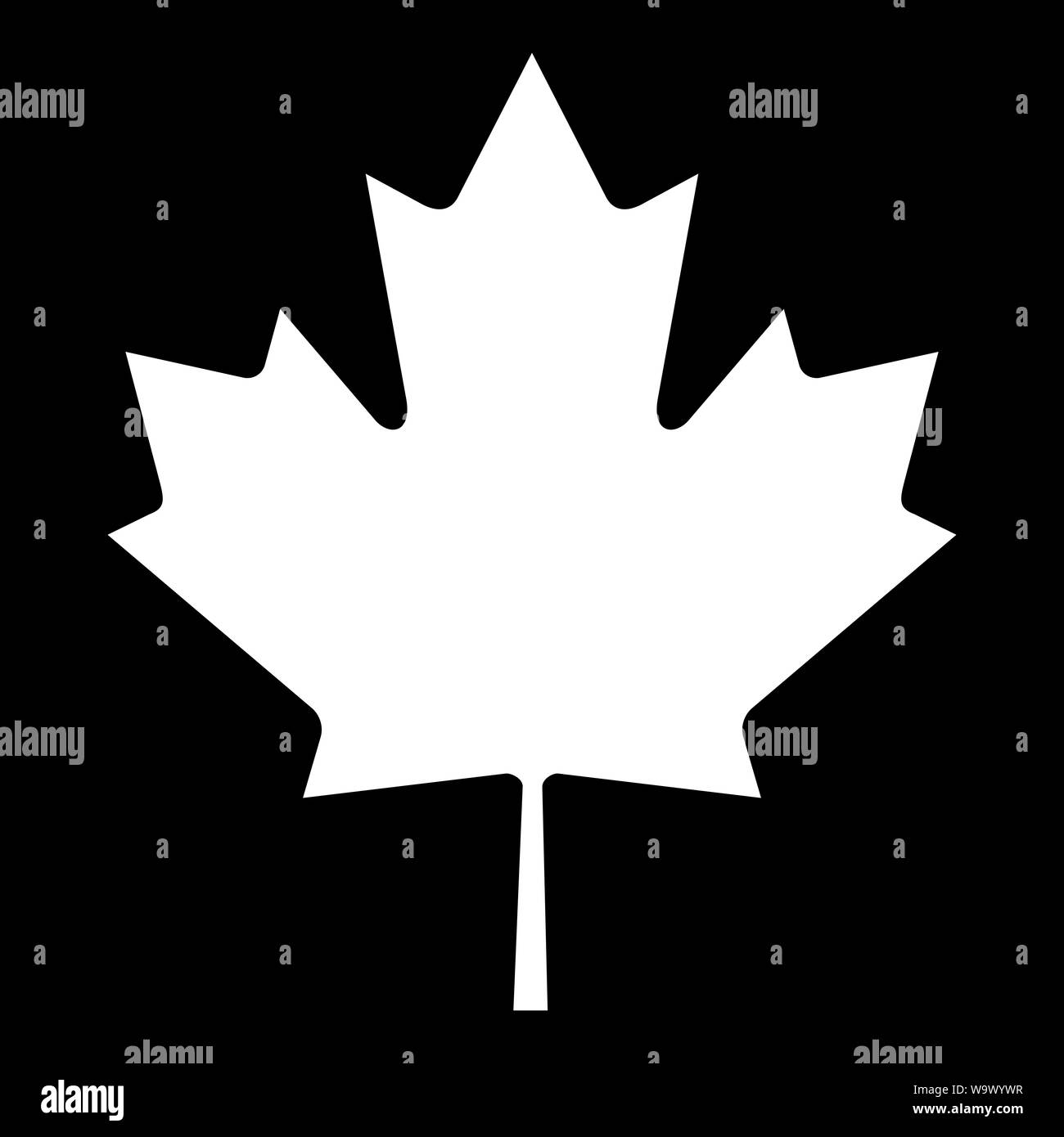 Black and white of maple leaf hi-res stock photography and images - Alamy