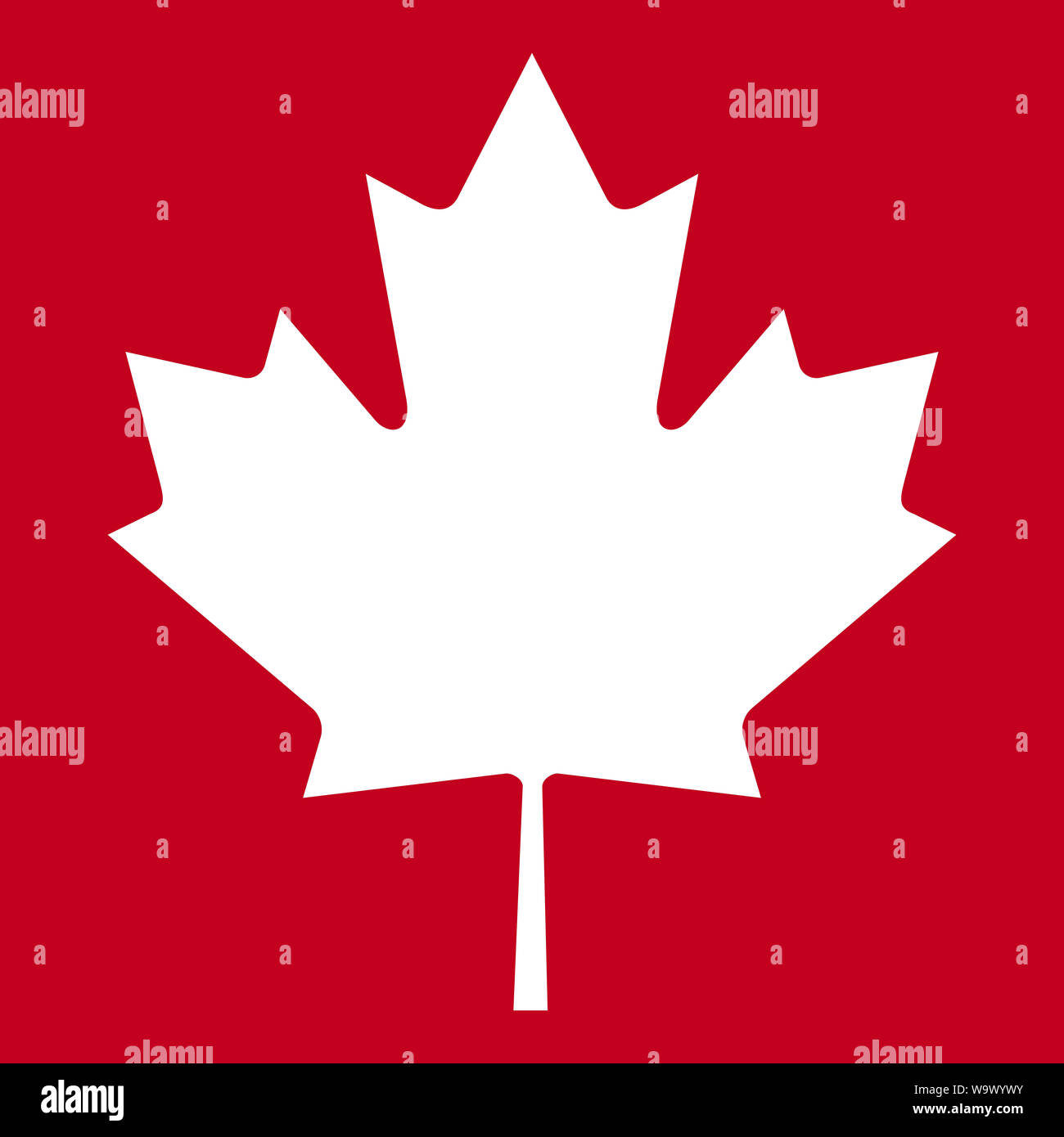 Maple tree canada flag hi-res stock photography and images - Alamy