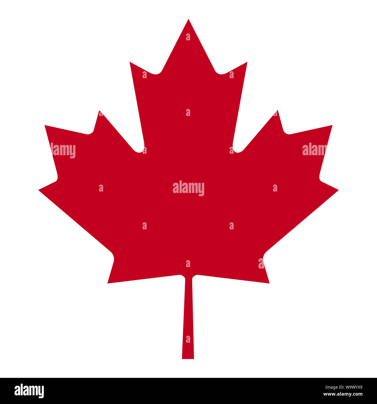 Maple tree canada flag hi-res stock photography and images - Alamy