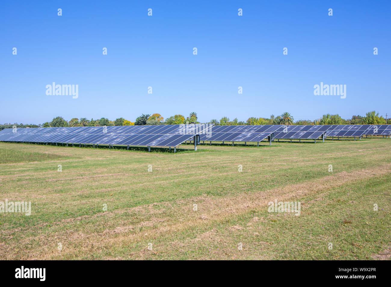 Landscape view of solar panels in farm using clean and renewable energy ...