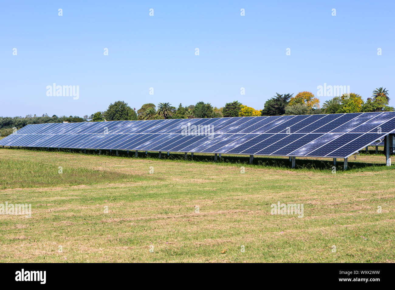 Landscape view of solar panels in farm using clean and renewable energy ...