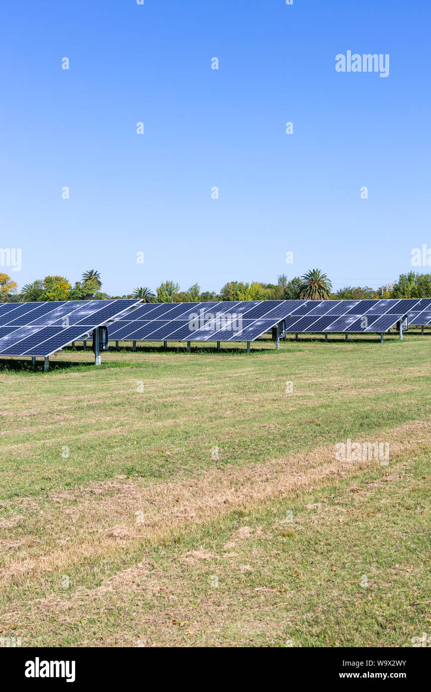 Landscape view of solar panels in farm using clean and renewable energy ...