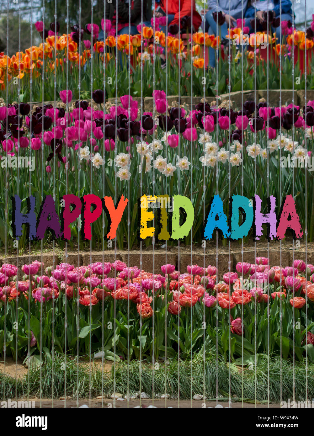 Muslim holiday festival of sacrifice, Happy Eid al-Adha mubarak wording ...
