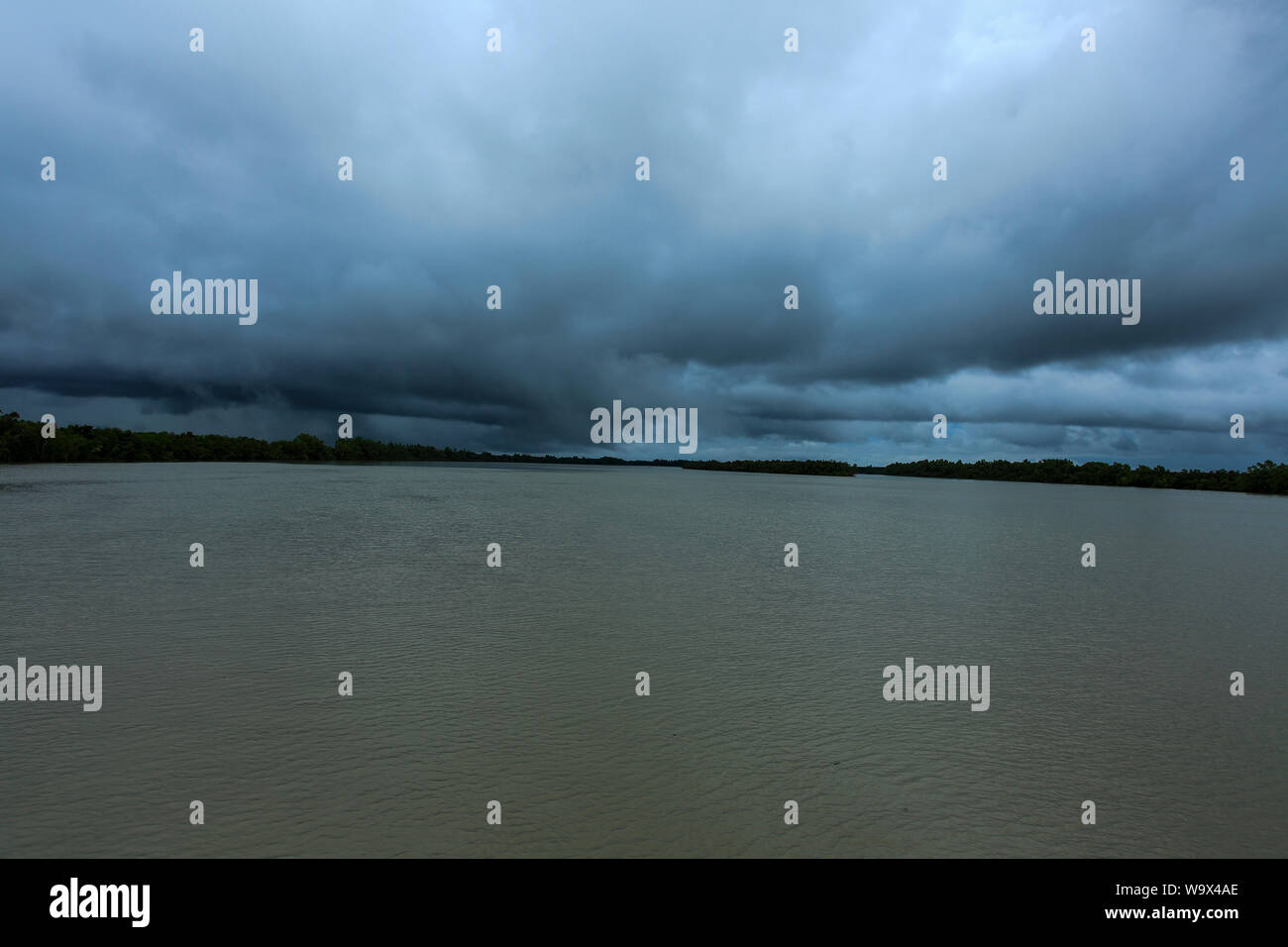 Rain in the Sundarbans, the largest mangrove forest in the world ...