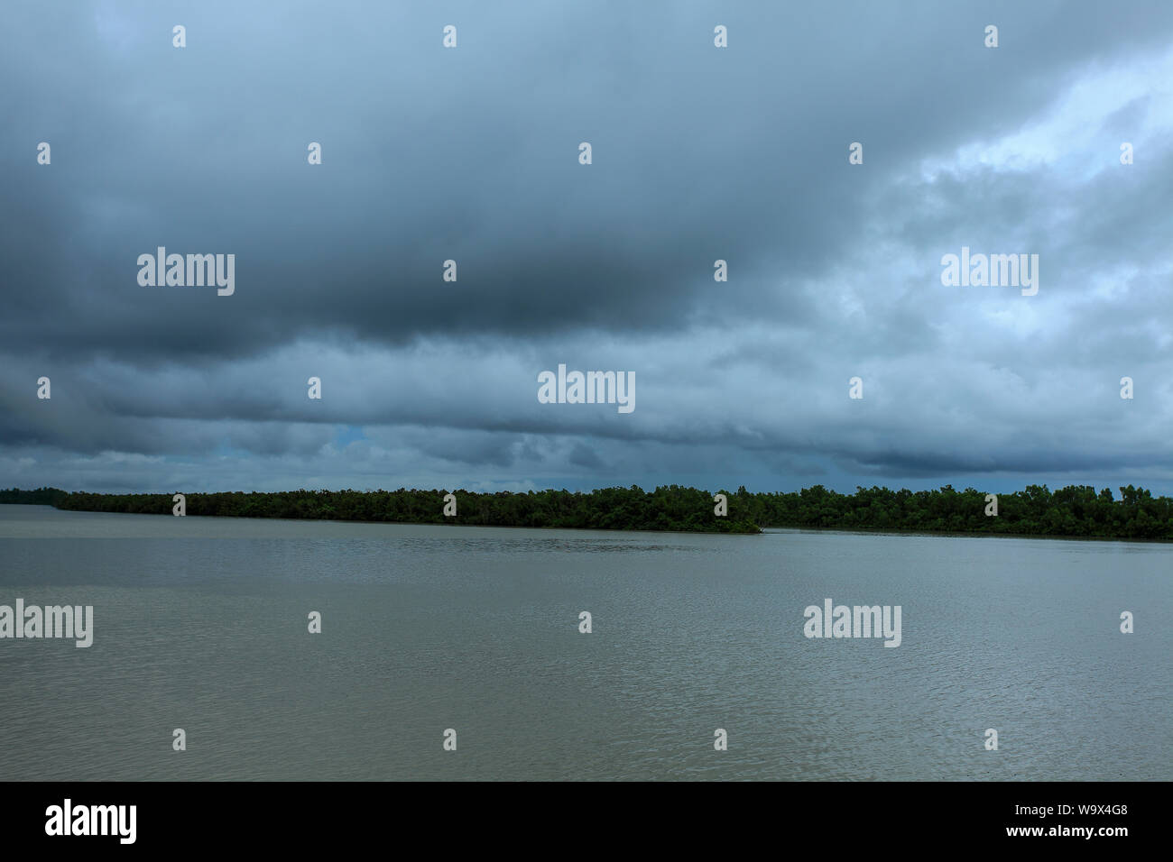 Rain in the Sundarbans, the largest mangrove forest in the world ...