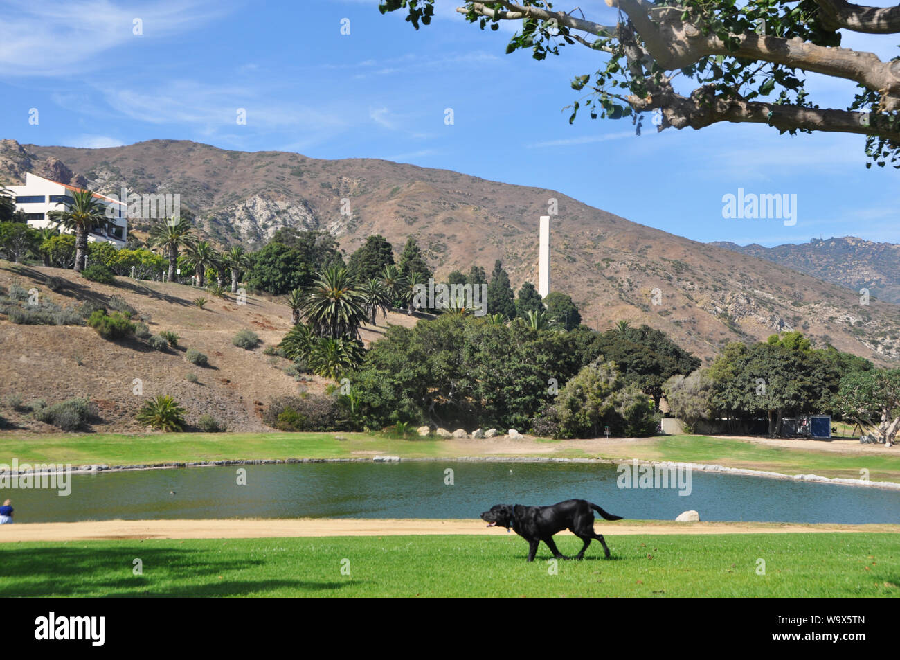 A black Lab runs to his owner in Alumni Park, with the Phillips Theme ...