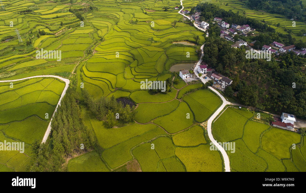 Anhui, Anhui, China. 16th Aug, 2019. Anhui, CHINA-Aerial photo shows ...