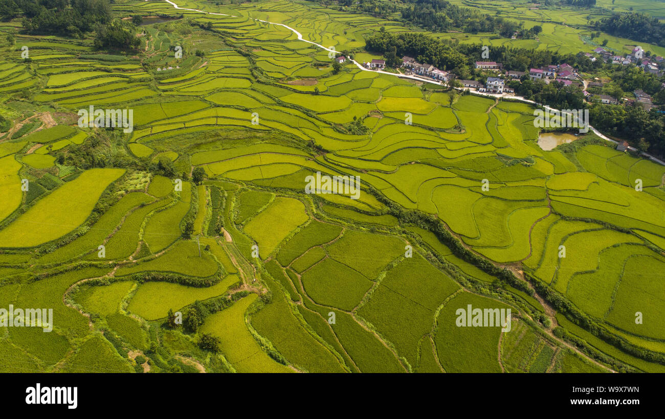 Anhui, Anhui, China. 16th Aug, 2019. Anhui, CHINA-Aerial photo shows ...