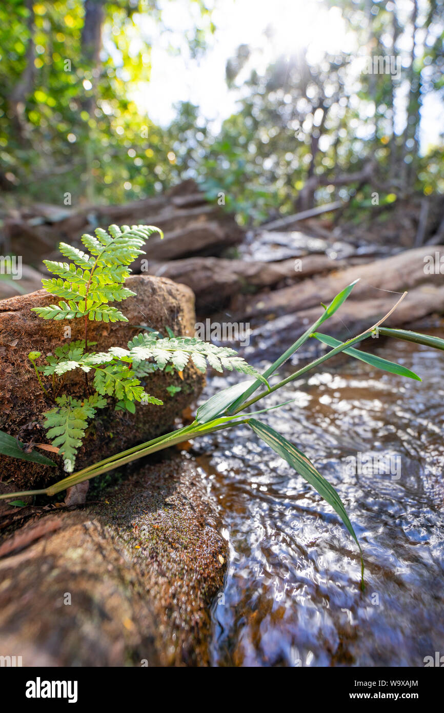 Series of different angles of the Abade cachoeira (waterfall) in ...