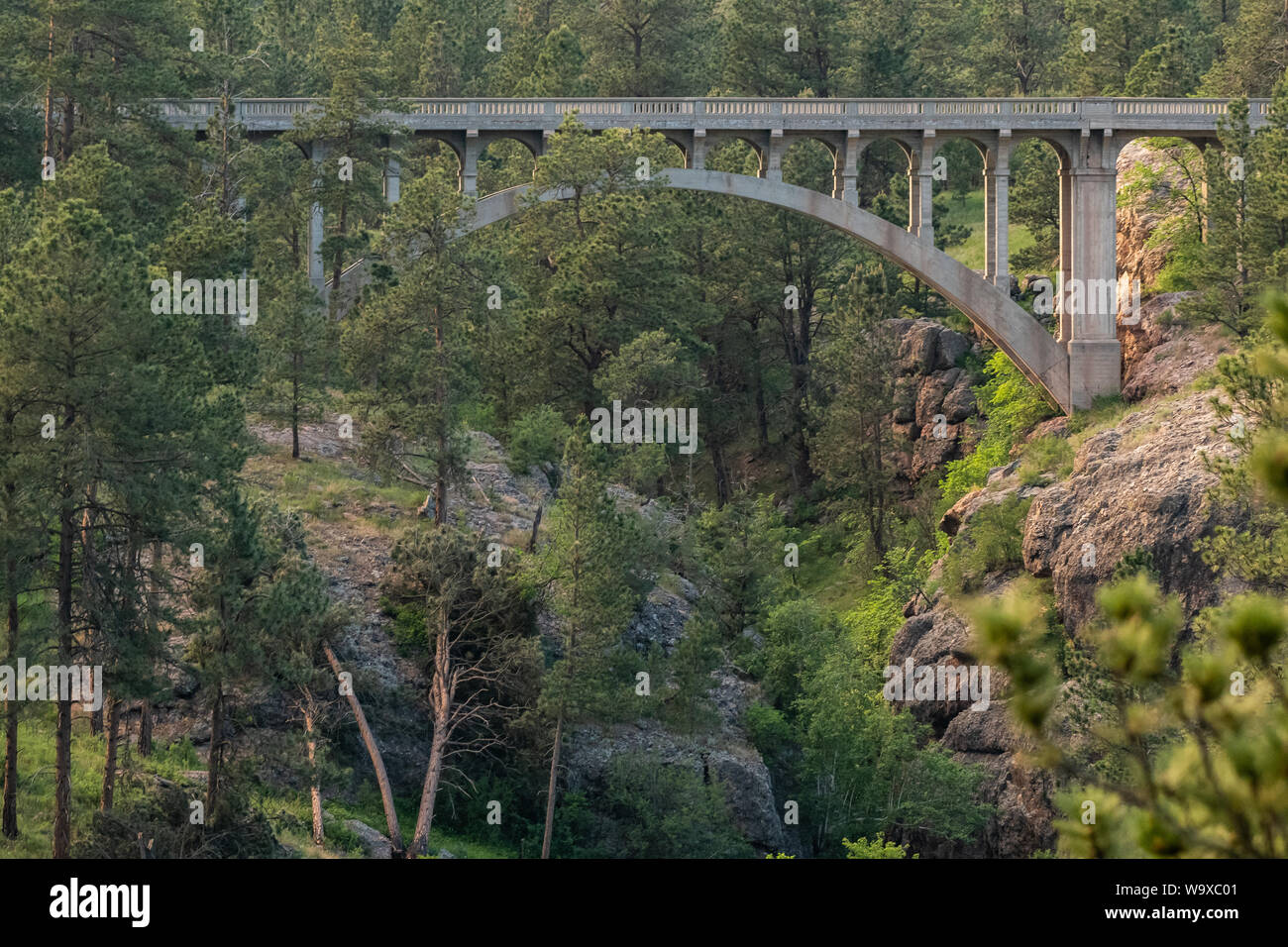 Bridge Over Ravine in Wind Cave National Park Wilderness Stock Photo ...