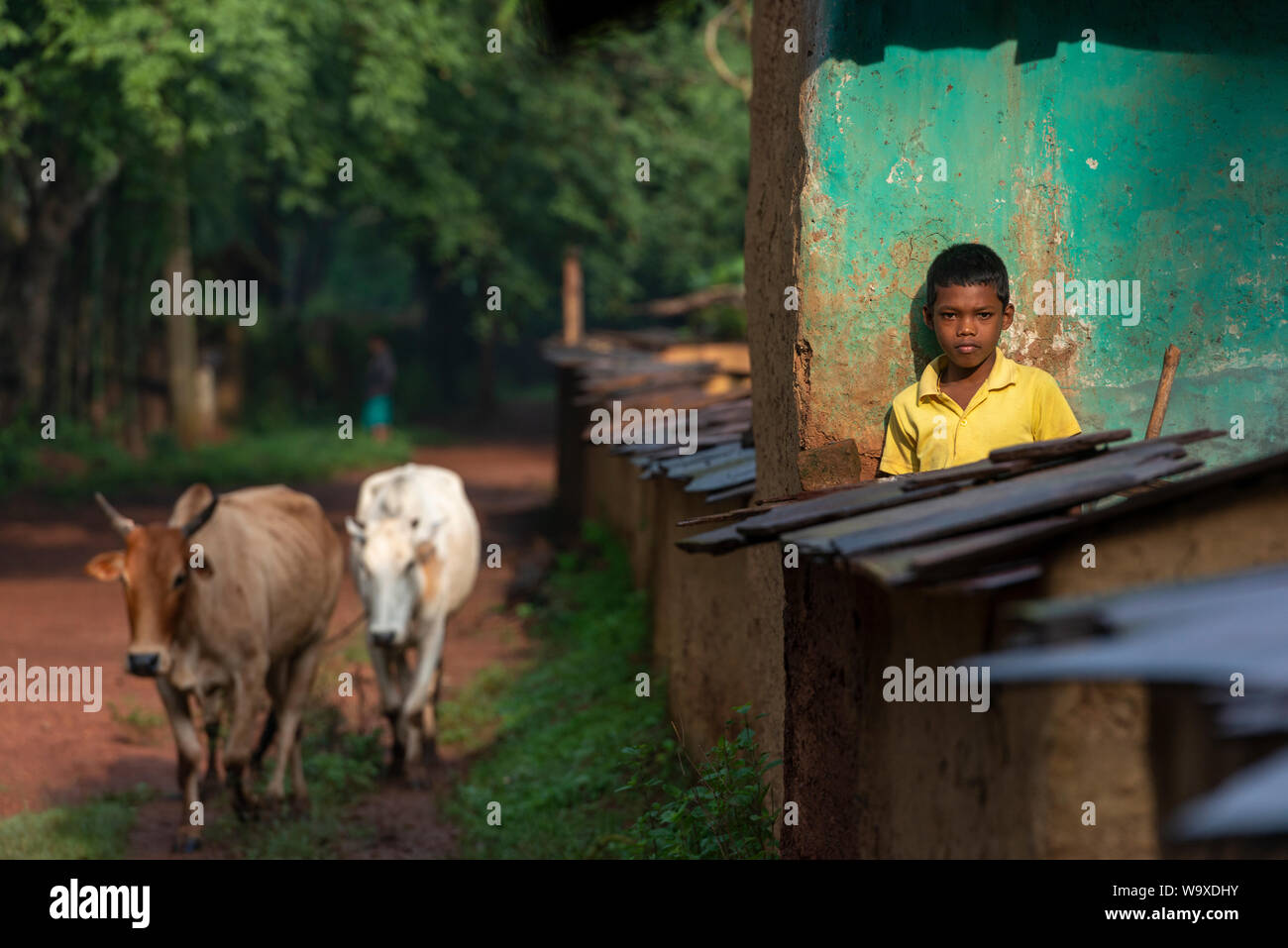 Small village boy sitting outside his house near jagdalpur,Chhattisgarh ...