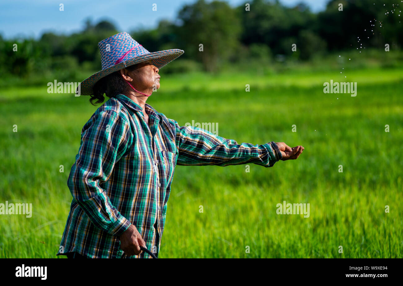 Fertilizing fields hi-res stock photography and images - Alamy