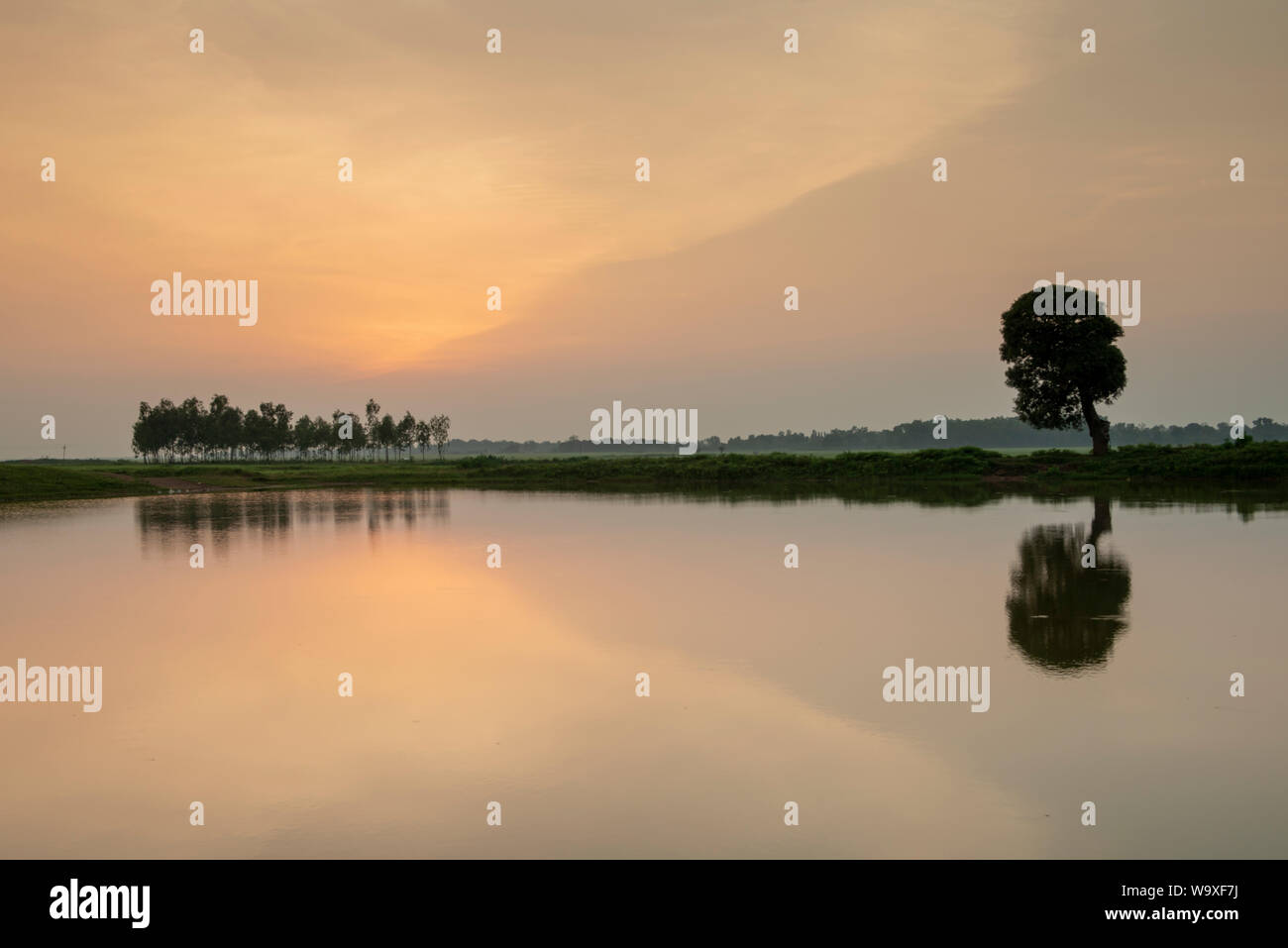Jagdalpur chhattisgarh hi-res stock photography and images - Alamy