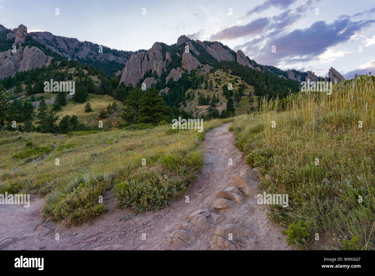 Colorado summer mountain hi-res stock photography and images - Alamy