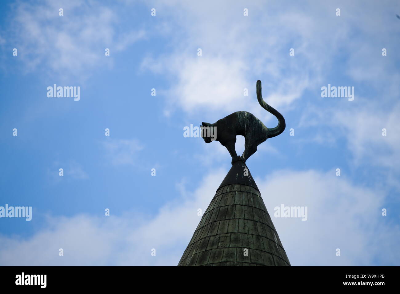 The Black Cat of Riga, Latvia Stock Photo - Alamy
