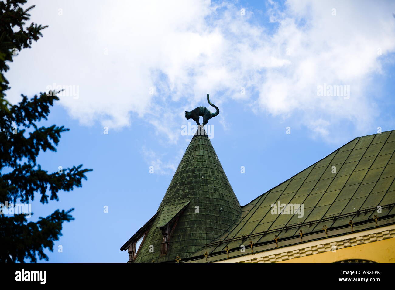 The Black Cat of Riga, Latvia Stock Photo - Alamy