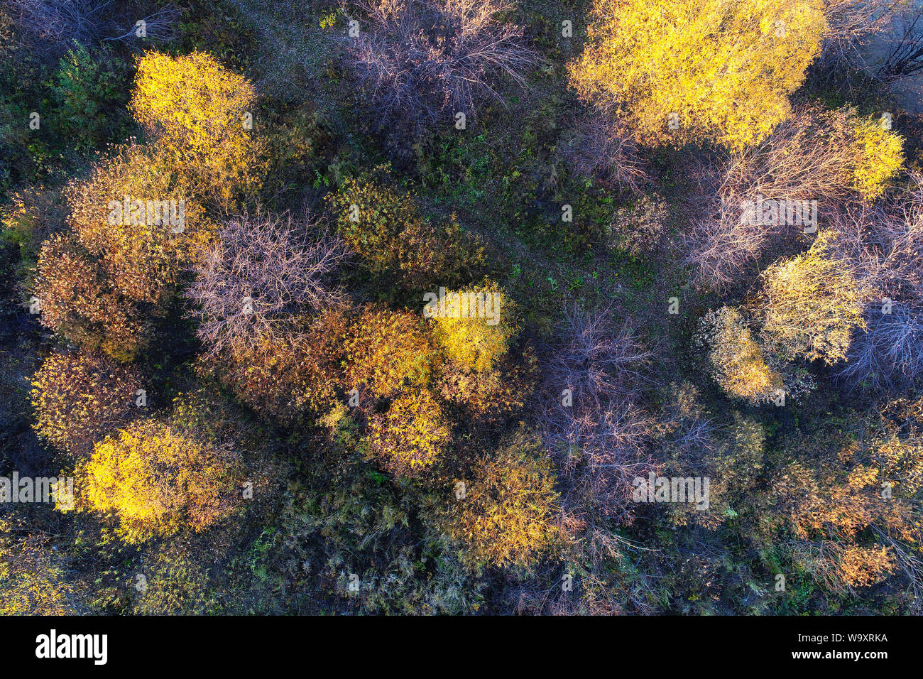 Aerial color Lin Stock Photo - Alamy