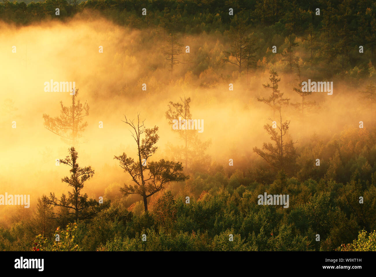 The greater hinggan mountains clouds Lin hai Stock Photo - Alamy