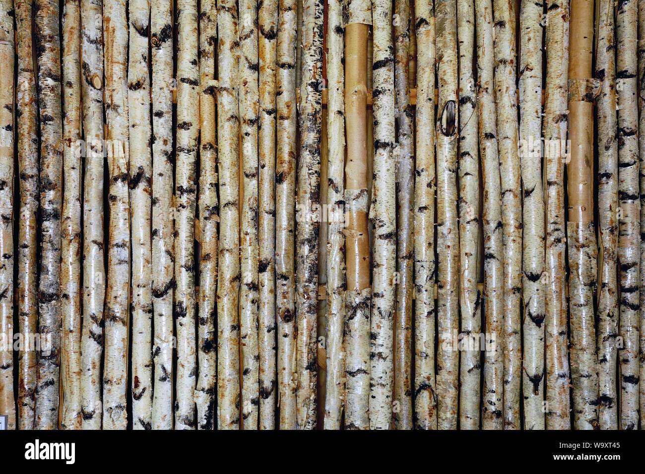 Birch rod hi-res stock photography and images - Alamy